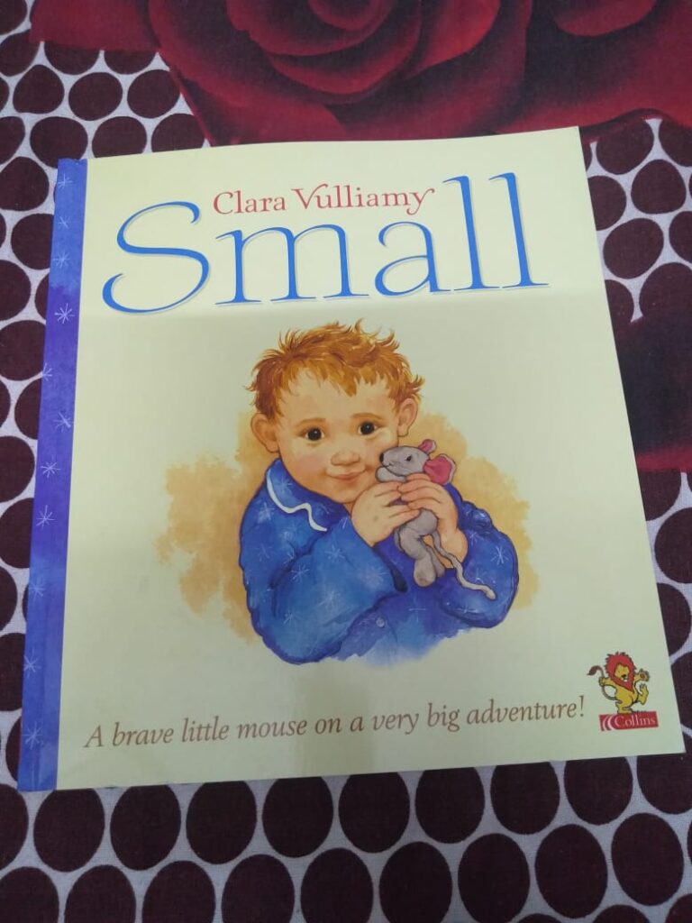 Small (English, Paperback, Clara Vulliamy) - BookMafiya - Buy Old books ...